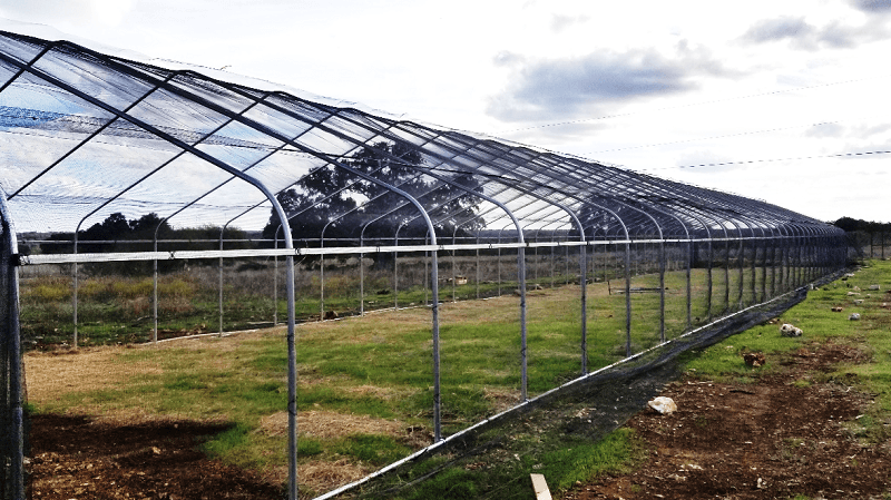 Study Uses NRG’s Bat Deterrent Systems to Analyze Bat Behavior