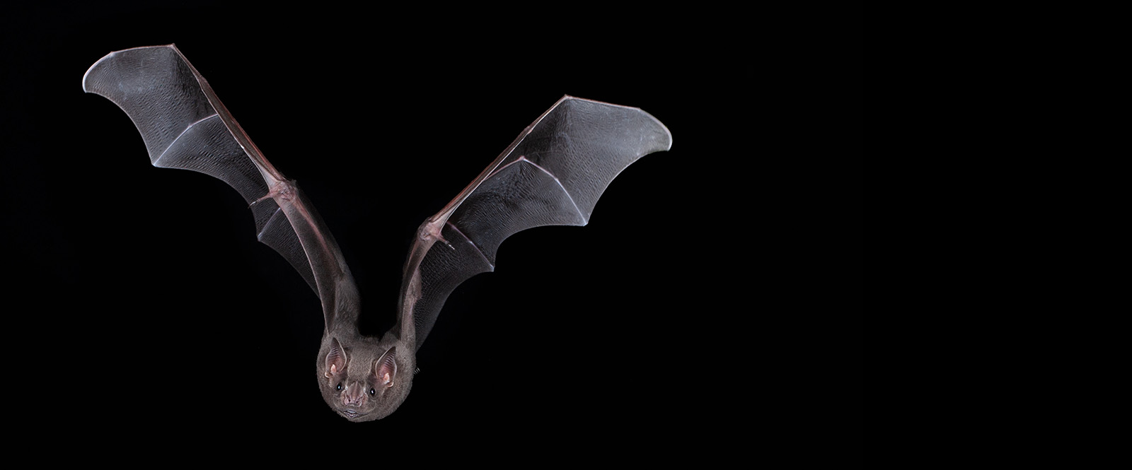 NRG Systems - Wind + Solar Measurement Tools