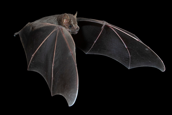 NRG Systems - Wind + Solar Measurement Tools